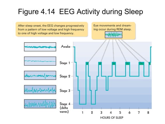 Cognitive psychology consciousness | PPT