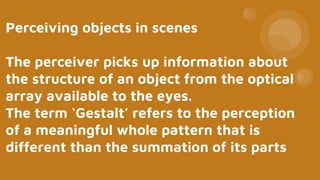 Cognitive psychology lesson two | PPTX