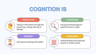Cognitive Psychology: Cognition and Concepts | PDF