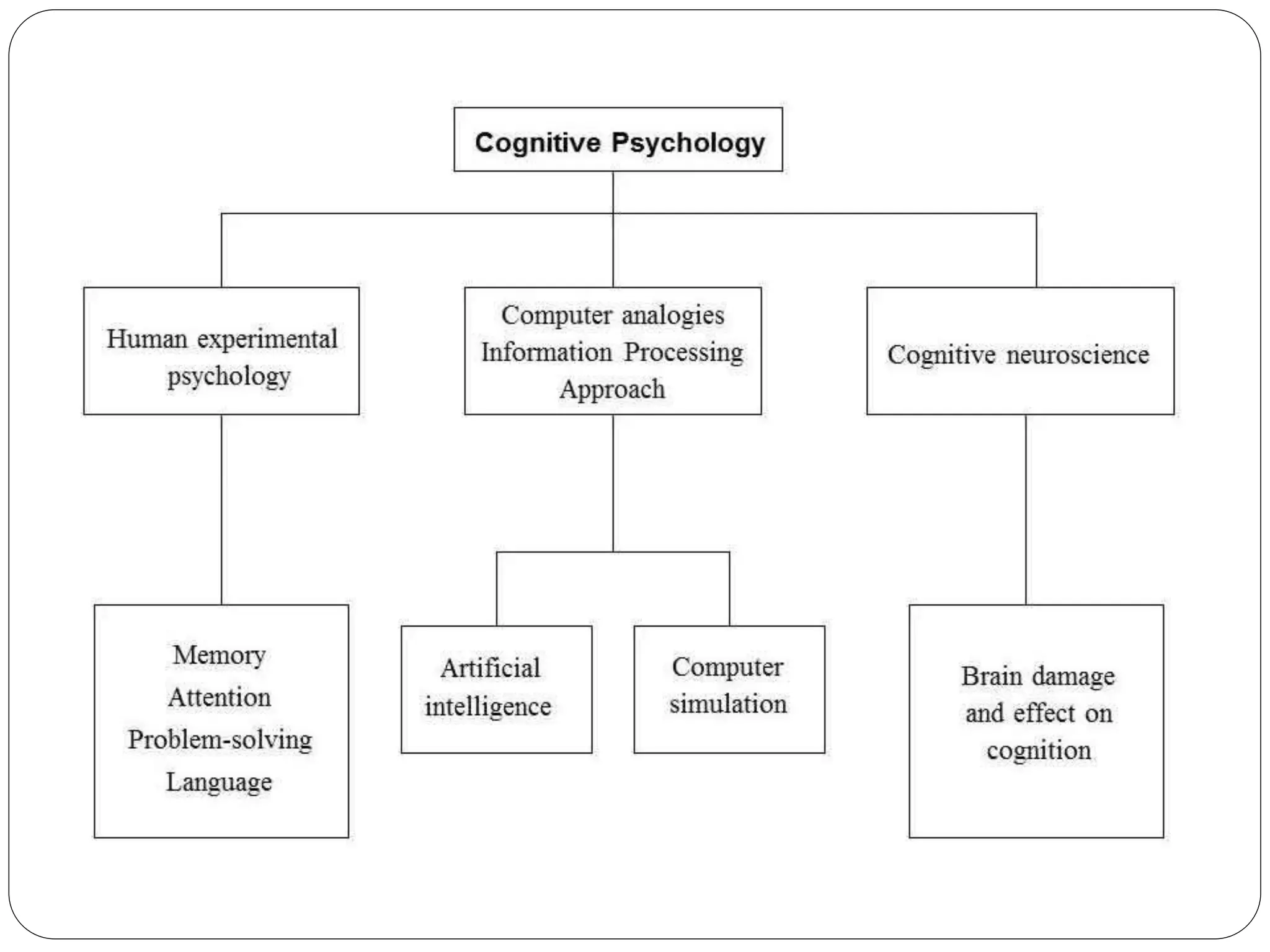 Cognitive psychology introduction | PPTX