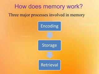 COGNITIVE PSYCHOLOGY (LTM) Sandhiya.pptx
