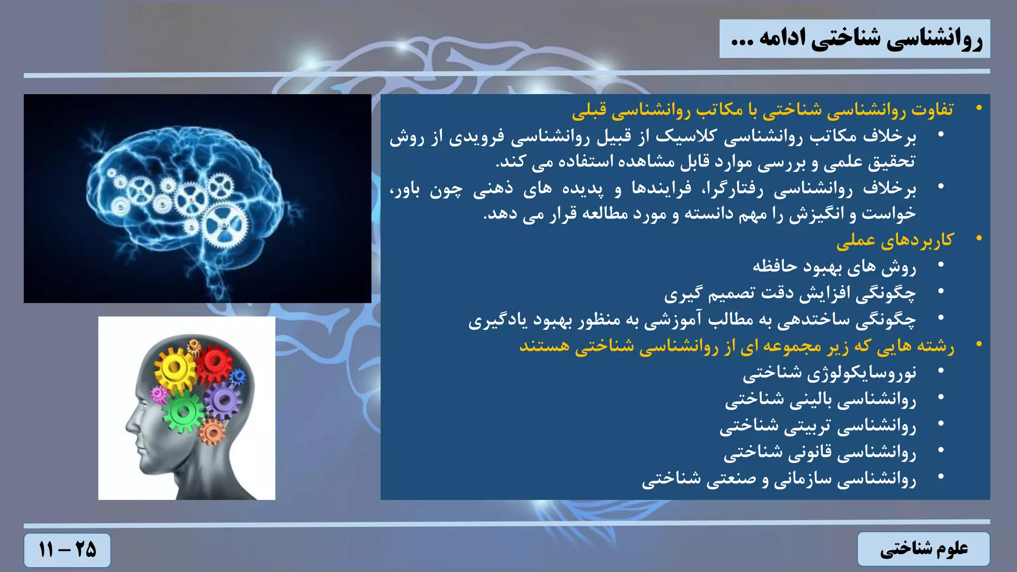 Cognitive science | PDF