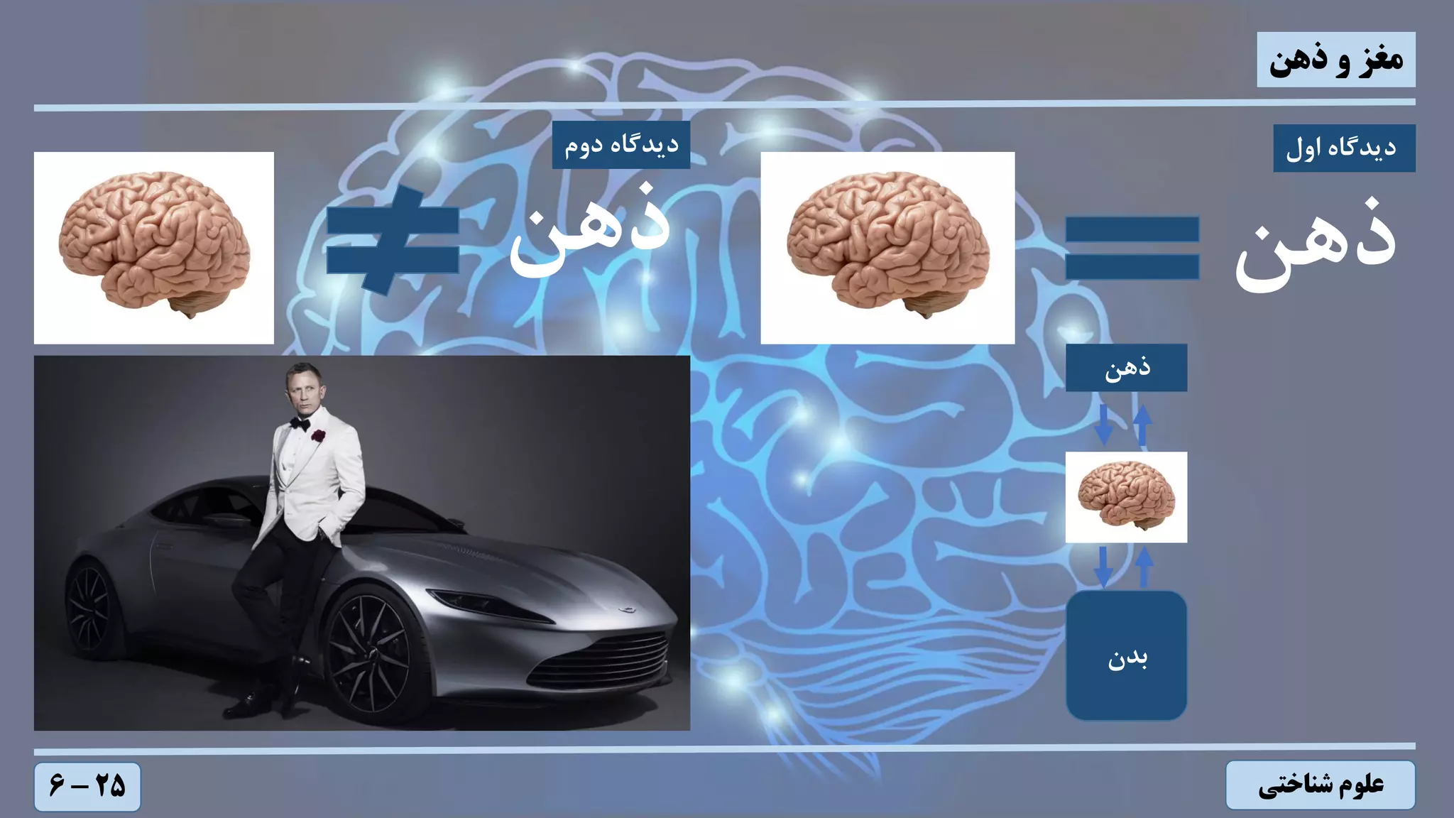 Cognitive science | PDF