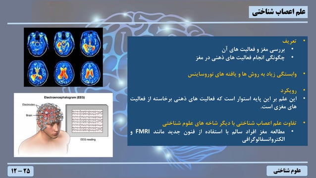 Cognitive science | PDF