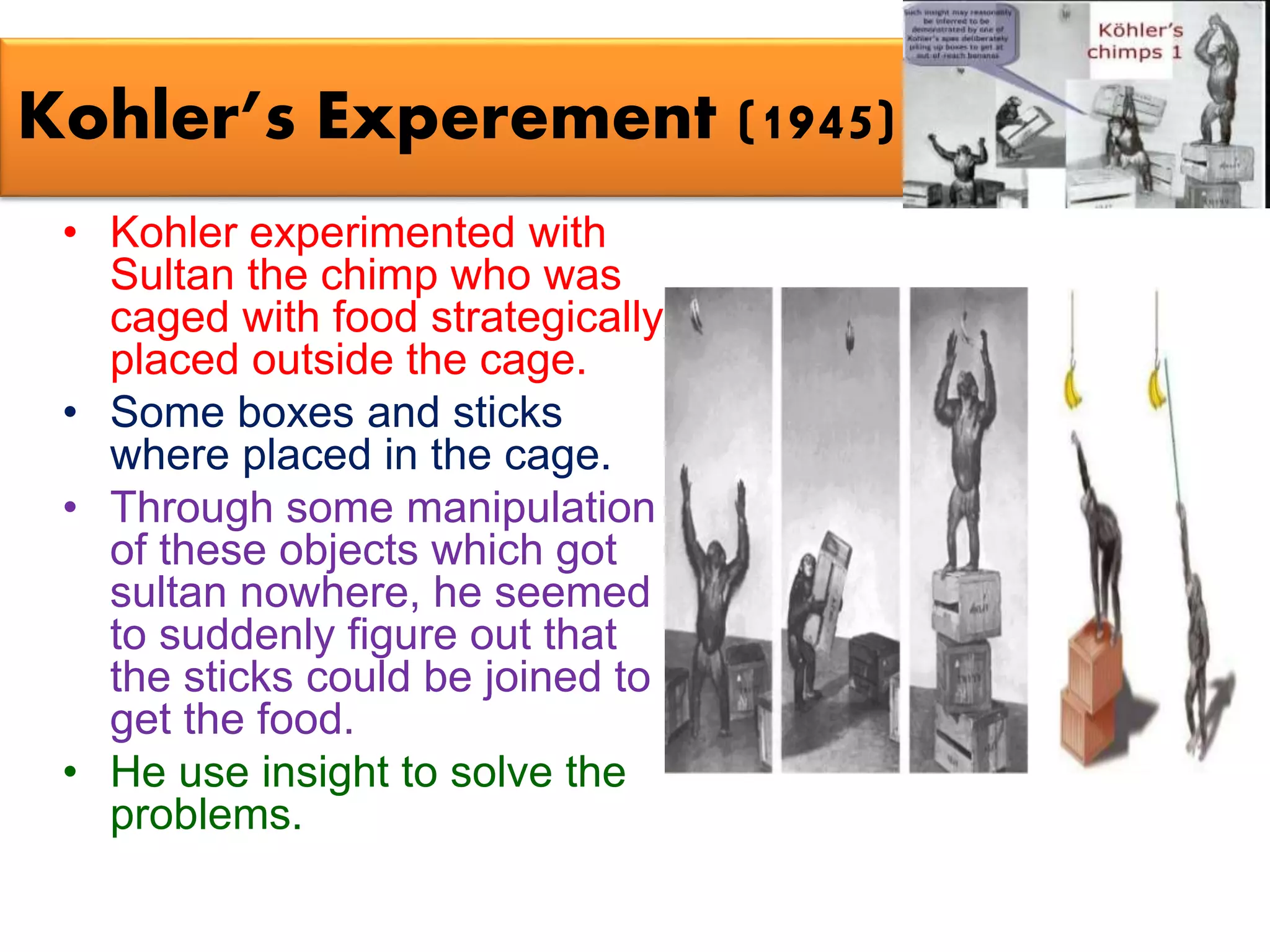 Cognitive theory Insight learning –Gestalt School | PPTX
