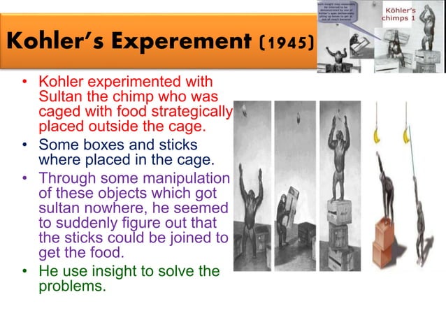 Cognitive theory Insight learning –Gestalt School | PPTX