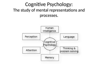 Presentation on Cognitivism from Teaching Learning Process | PPTX