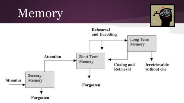 Cognitivist learning theory hunt montgomery | PPT