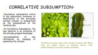 Cognitivist Theory -Ausubel and Bruner.pptx