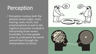 Cognitive psychology | PPT