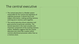 Cognitive psychology | PPT