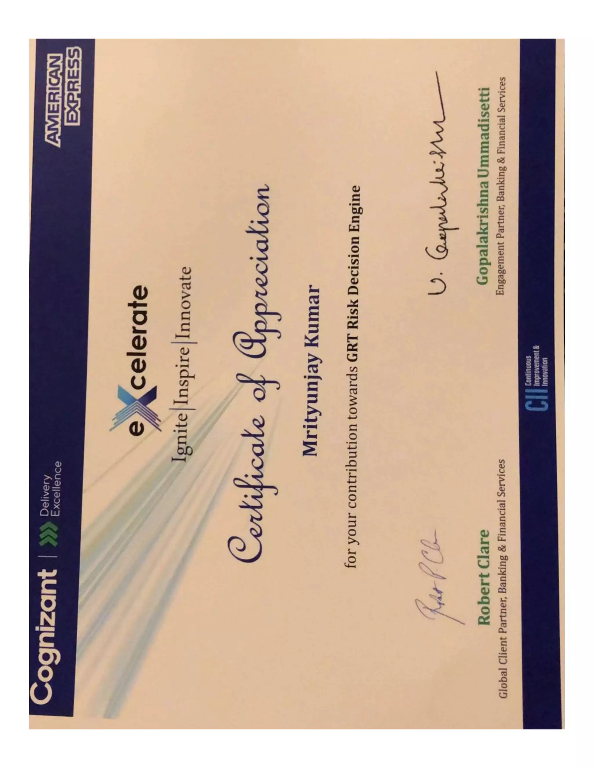 Cognizant-Amex award | PDF