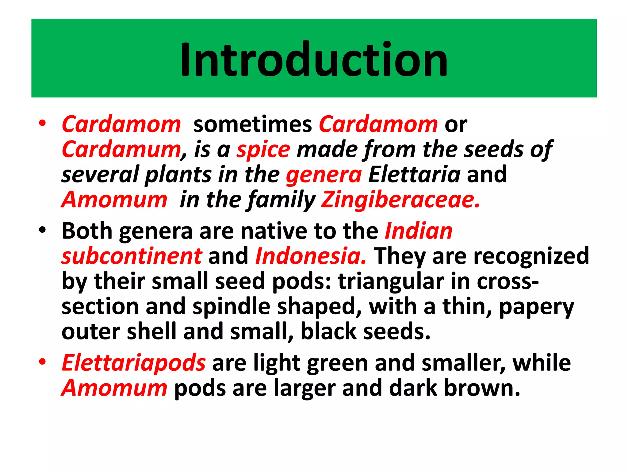 Cardamom Drug Power Point Presentation by Ashish Singh | PPTX