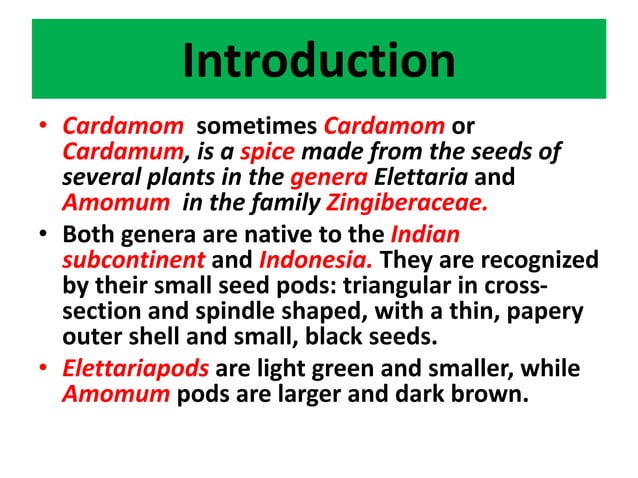 Cardamom Drug Power Point Presentation by Ashish Singh | PPT