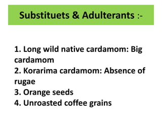 Cardamom Drug Power Point Presentation by Ashish Singh | PPT
