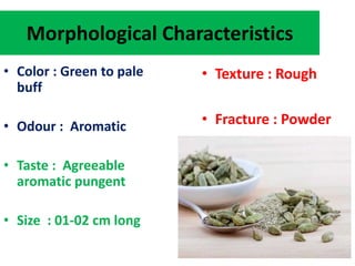 Cardamom Drug Power Point Presentation by Ashish Singh | PPT