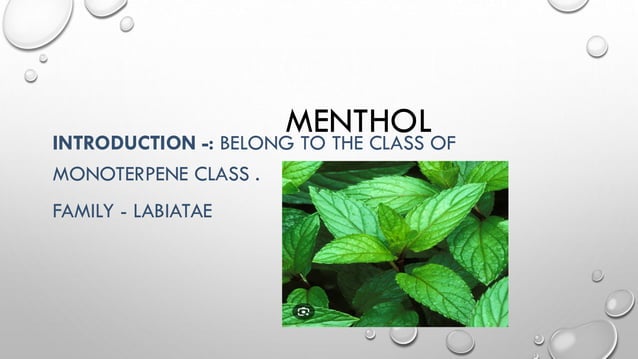 Pharmacognosy ppt terpenoid menthol drug | PPT