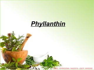 ISOLATION AND ESTIMATION OF GLYCERRHIZIN AND PHYLLANTHIN | PPT