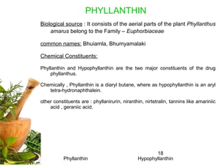 ISOLATION AND ESTIMATION OF GLYCERRHIZIN AND PHYLLANTHIN | PPT