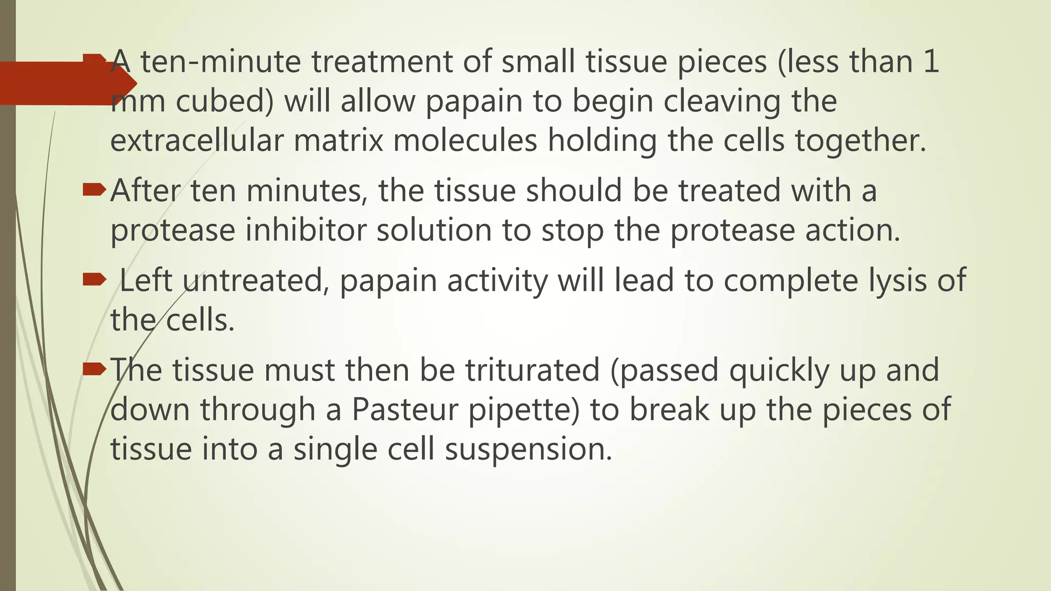 PAPAIN(phyto enzyme's) | PPTX