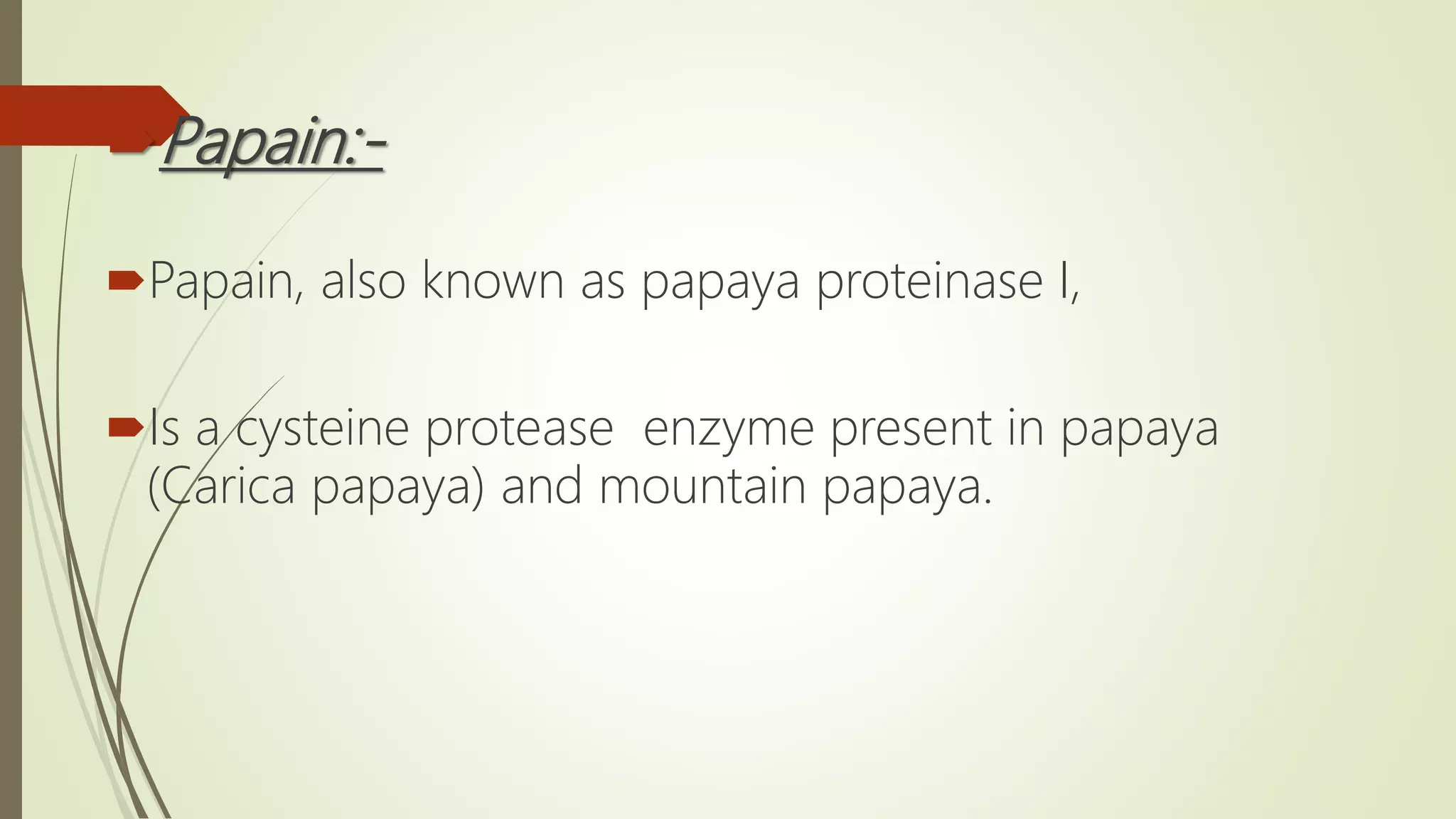 PAPAIN(phyto enzyme's) | PPTX