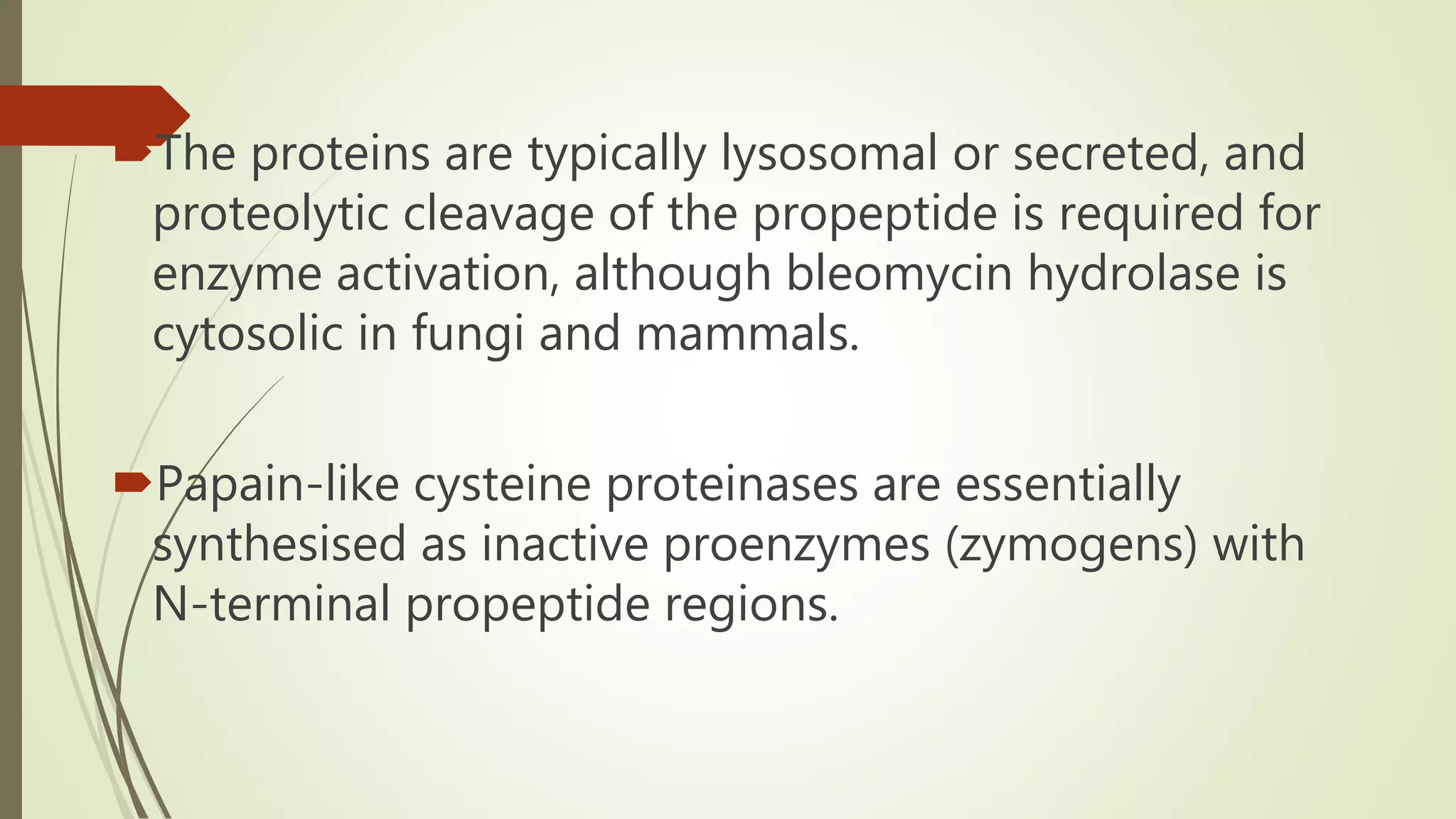 PAPAIN(phyto enzyme's) | PPTX
