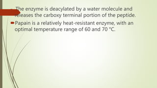 PAPAIN(phyto enzyme's) | PPTX