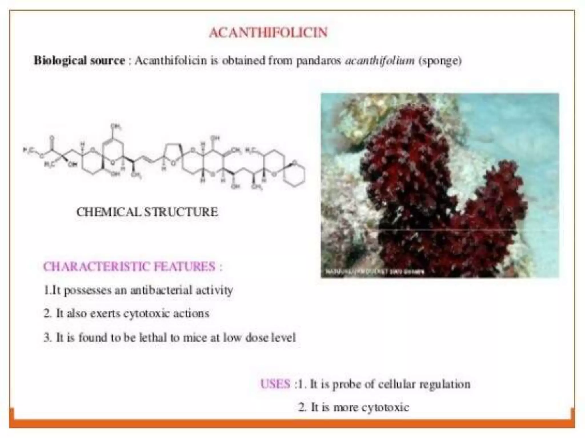 Cognosy Unit 5 by MM.pptx
