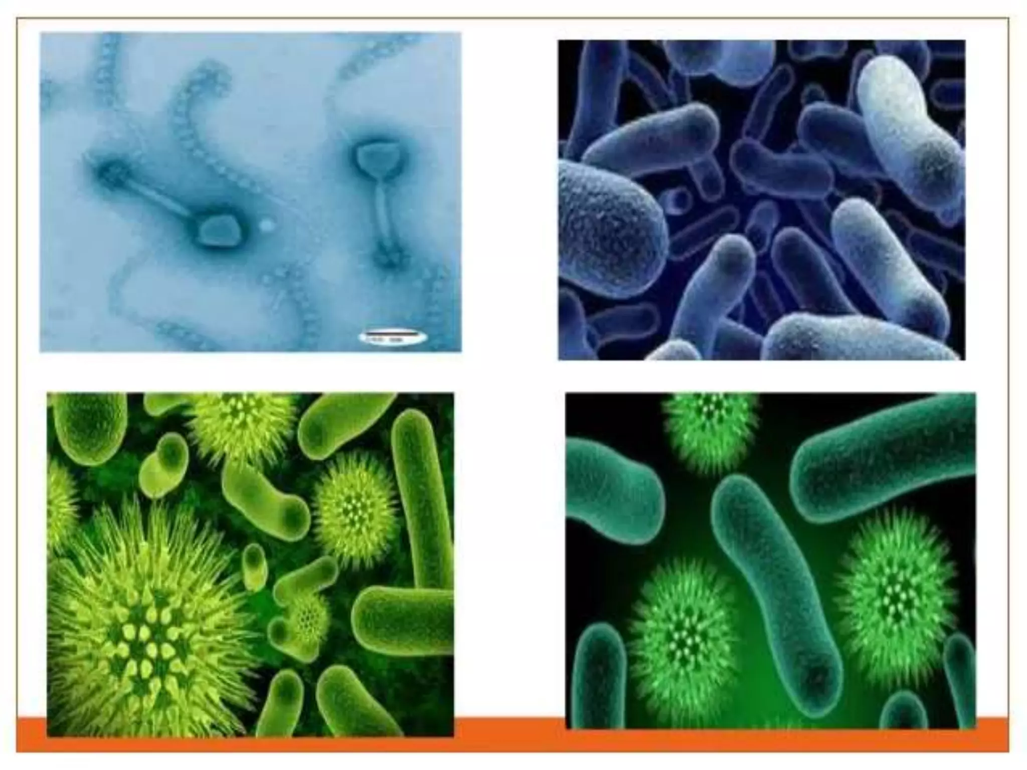 Cognosy Unit 5 by MM.pptx