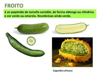 Cogombro | PPS