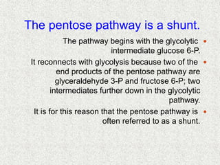 COG PENTOSE PHOSPHATE PATHWAY.p khztbhpt | PPT