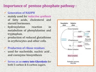 COG PENTOSE PHOSPHATE PATHWAY.p khztbhpt | PPT