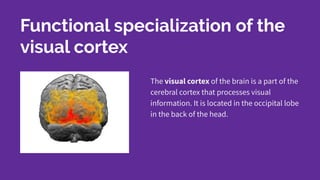 Cognitive psychology L3 spring 2020 | PPT