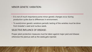 Deterioration of crop varieties and methods to prevent them. | PPTX