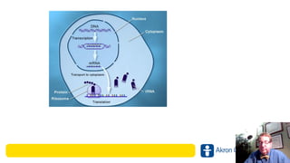What Clinicians Need to Know about Genetics, Genetic Testing and Neuro ...