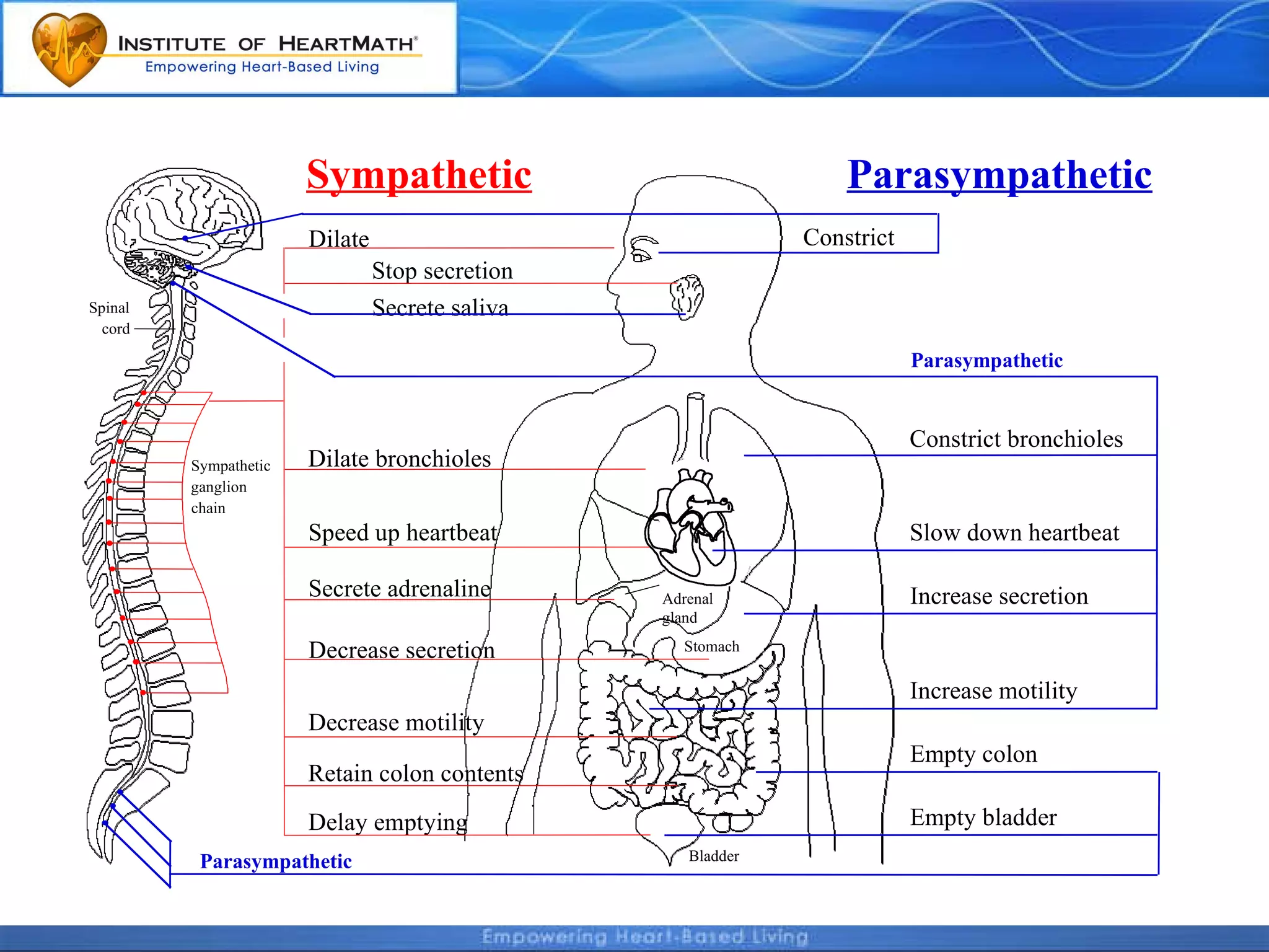 Coherence tools workshop | PPT