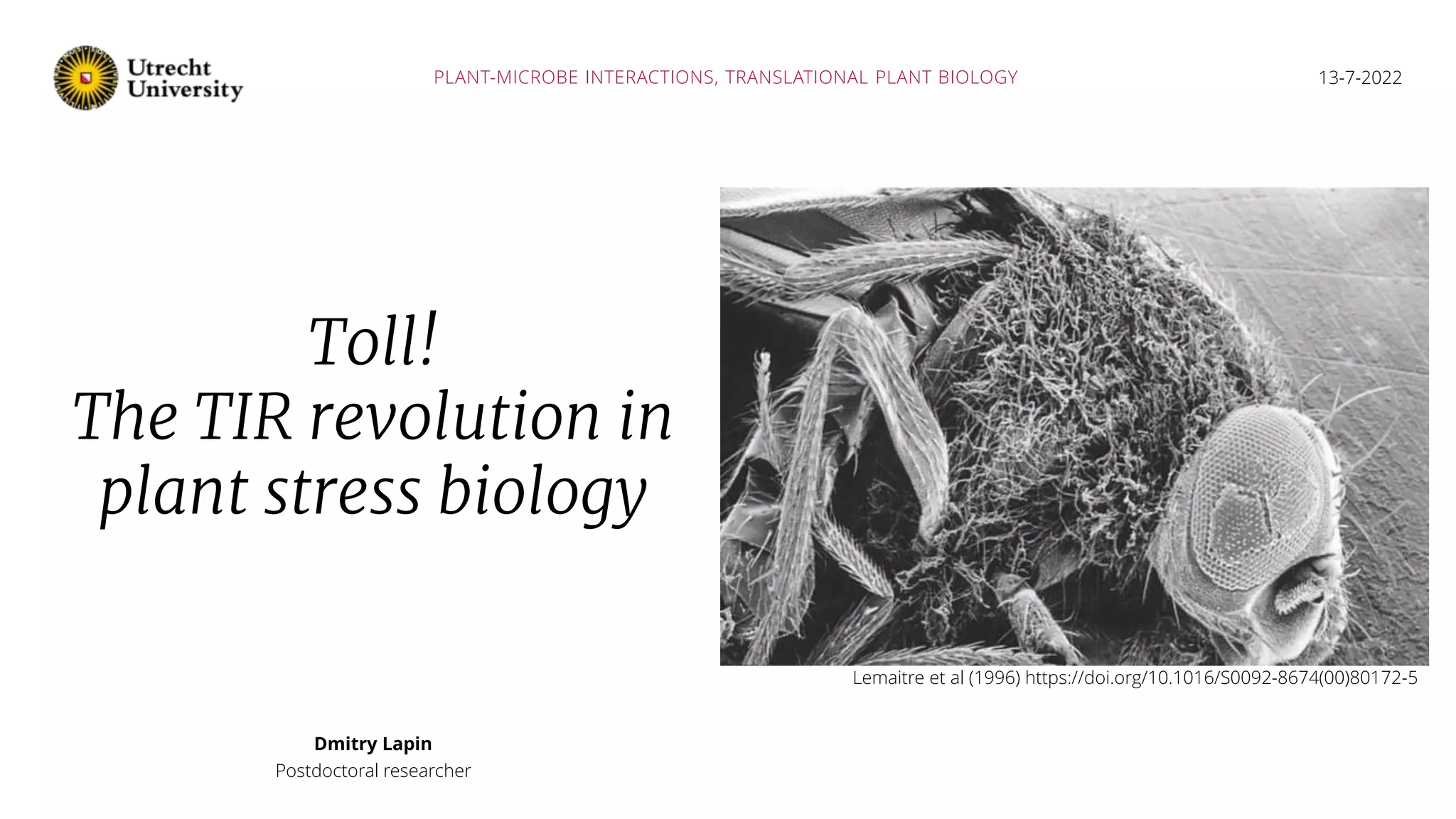 The TIR revolution in plant stress biology | PPT