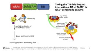 The TIR revolution in plant stress biology | PPT
