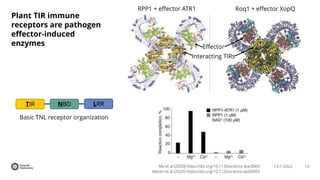 The TIR revolution in plant stress biology | PPT
