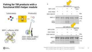 The TIR revolution in plant stress biology | PPT