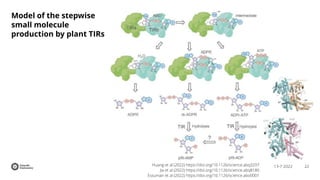 The TIR revolution in plant stress biology | PPT