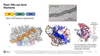 The TIR revolution in plant stress biology | PPT