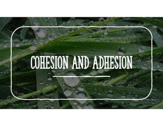 Cohesion and adhesion | PPT