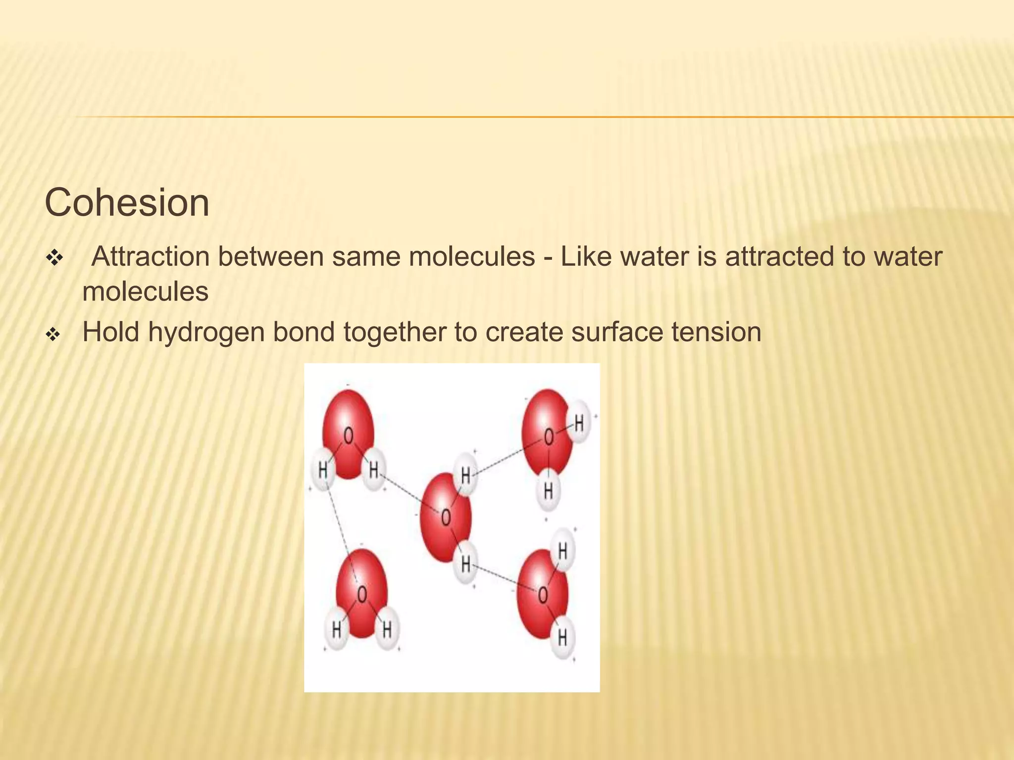 cohesion and adhesion.pptx