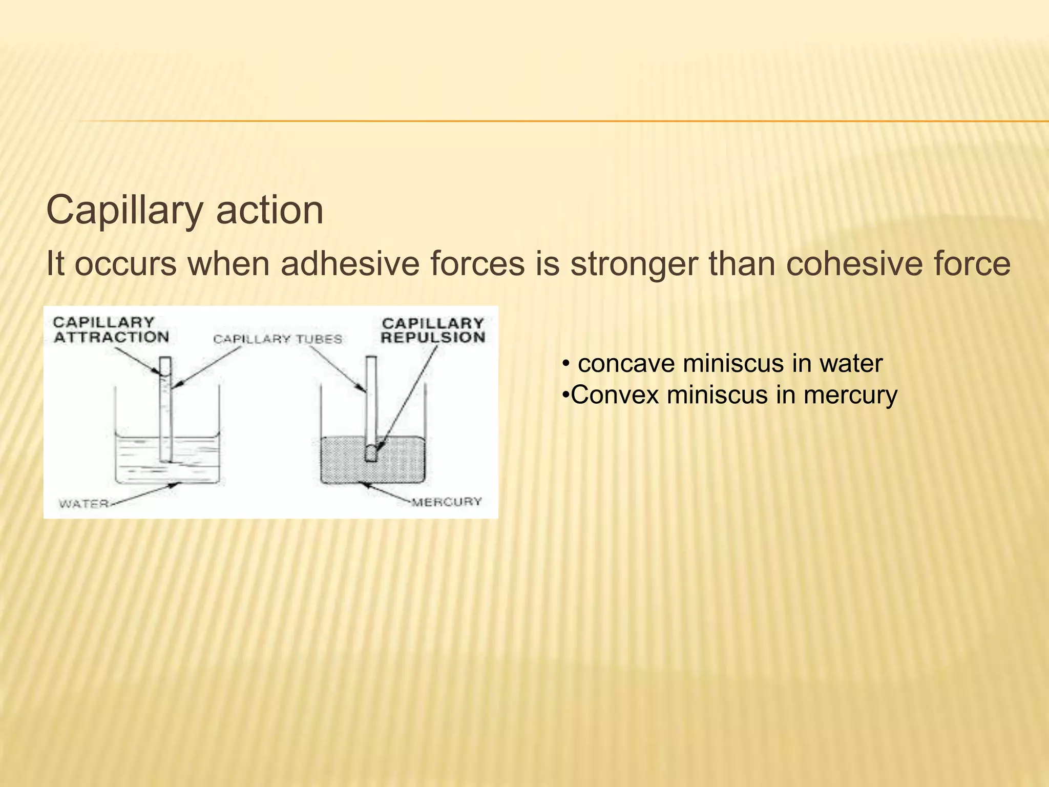 cohesion and adhesion.pptx