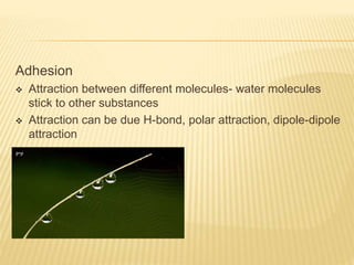 cohesion and adhesion.pptx