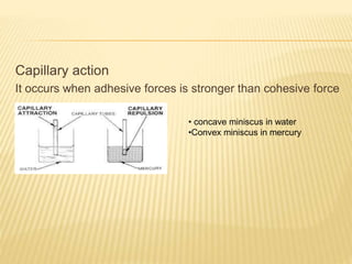 cohesion and adhesion.pptx