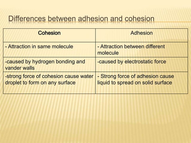cohesion and adhesion.pptx