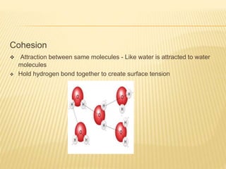 The Relationship Between Hydrogen Bonding And Surface Tension, Adhesion ...