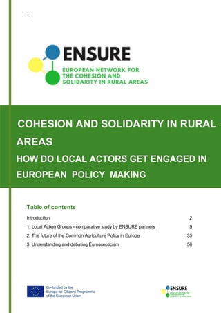 Cohesion and solidarity in local areas 2019 European project ENSURE | PDF